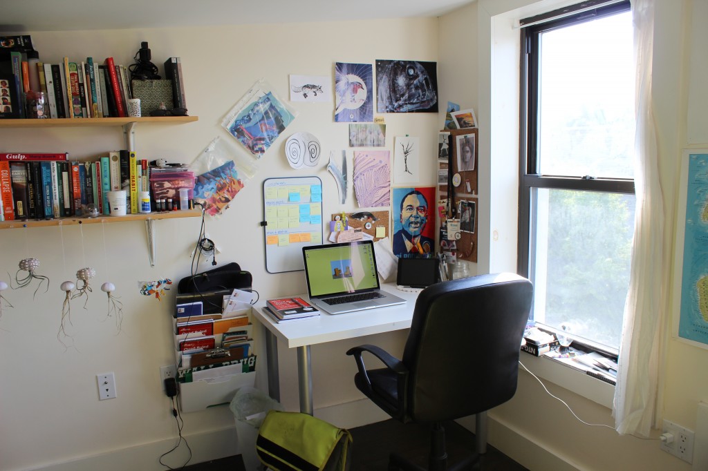 A Day in the Life of Rose Eveleth - The Open Notebook