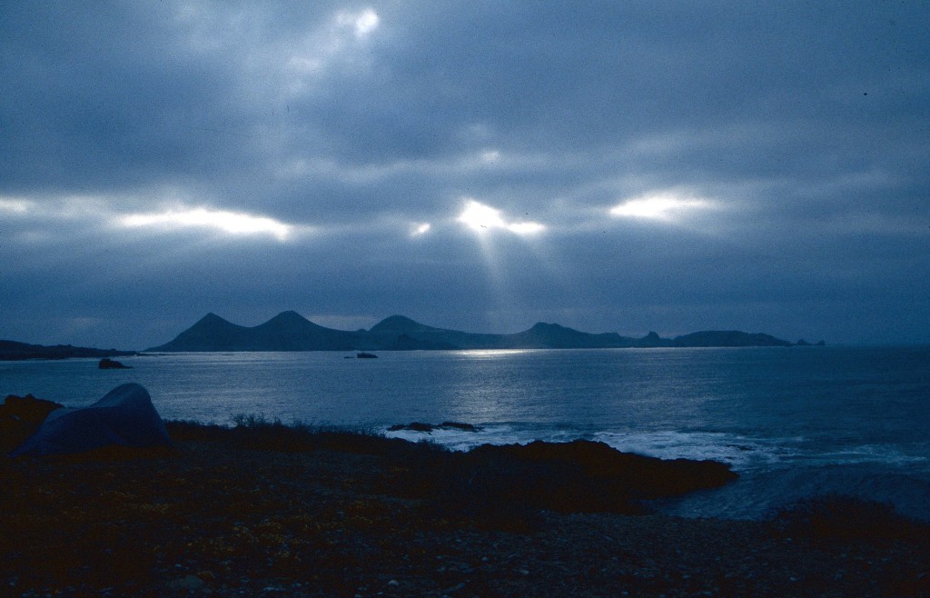 On the Scene: Reporting from the Field - The Open Notebook