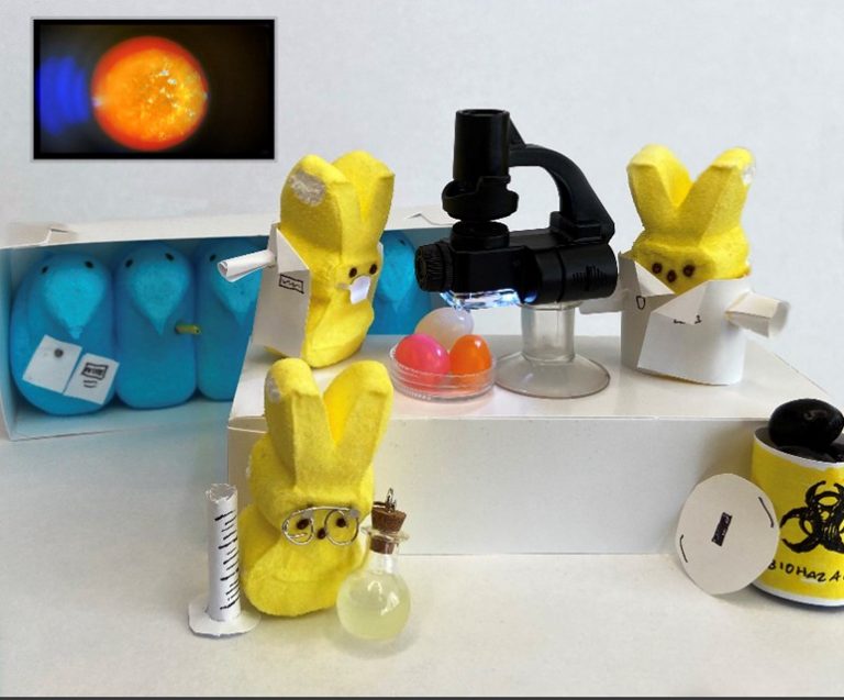 Hold onto Your Peeps! Presenting the Winners of #PeepYourScience 2021 ...
