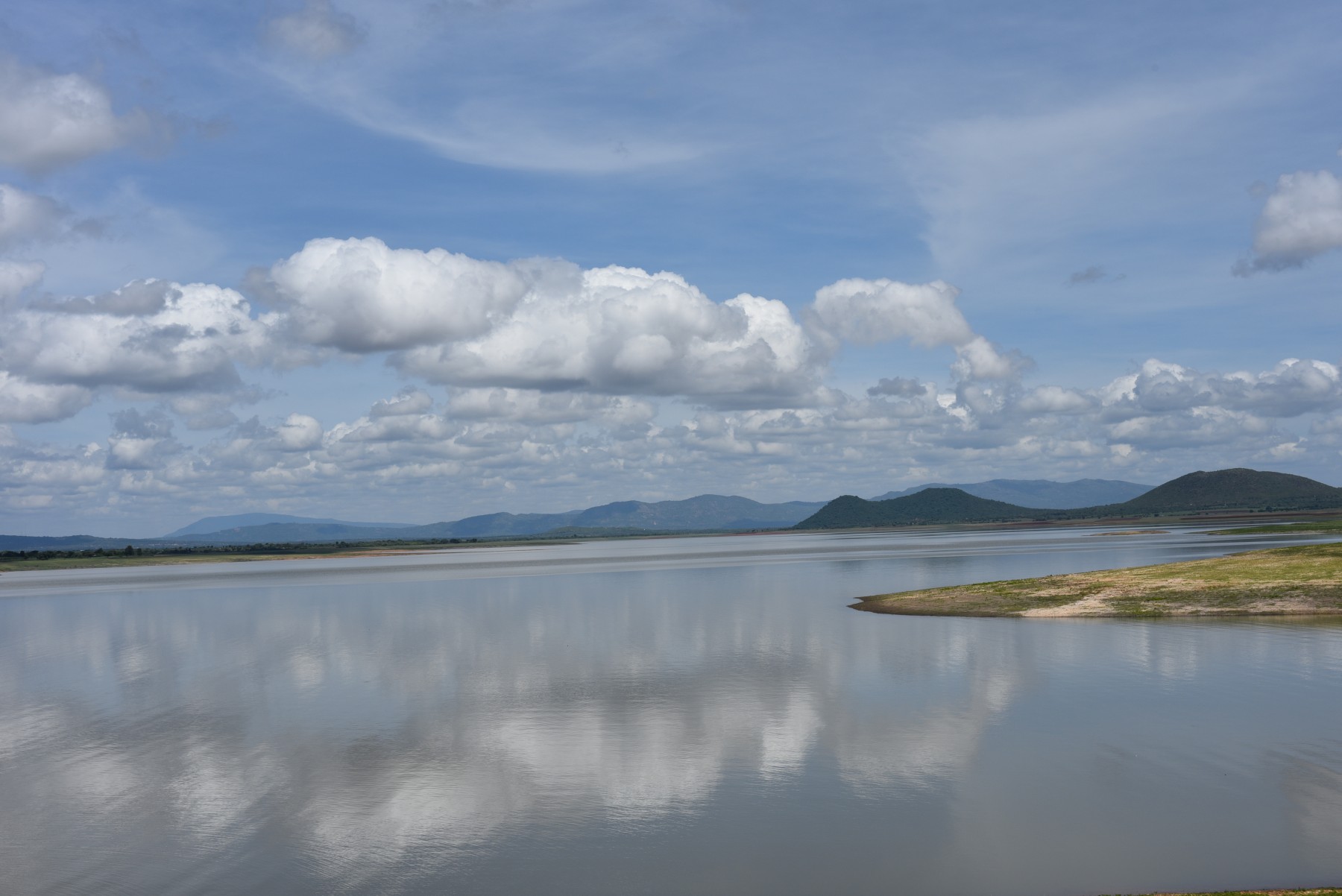 Geoffrey Kamadi Looks into a Threatened River Ecosystem in Kenya - The ...