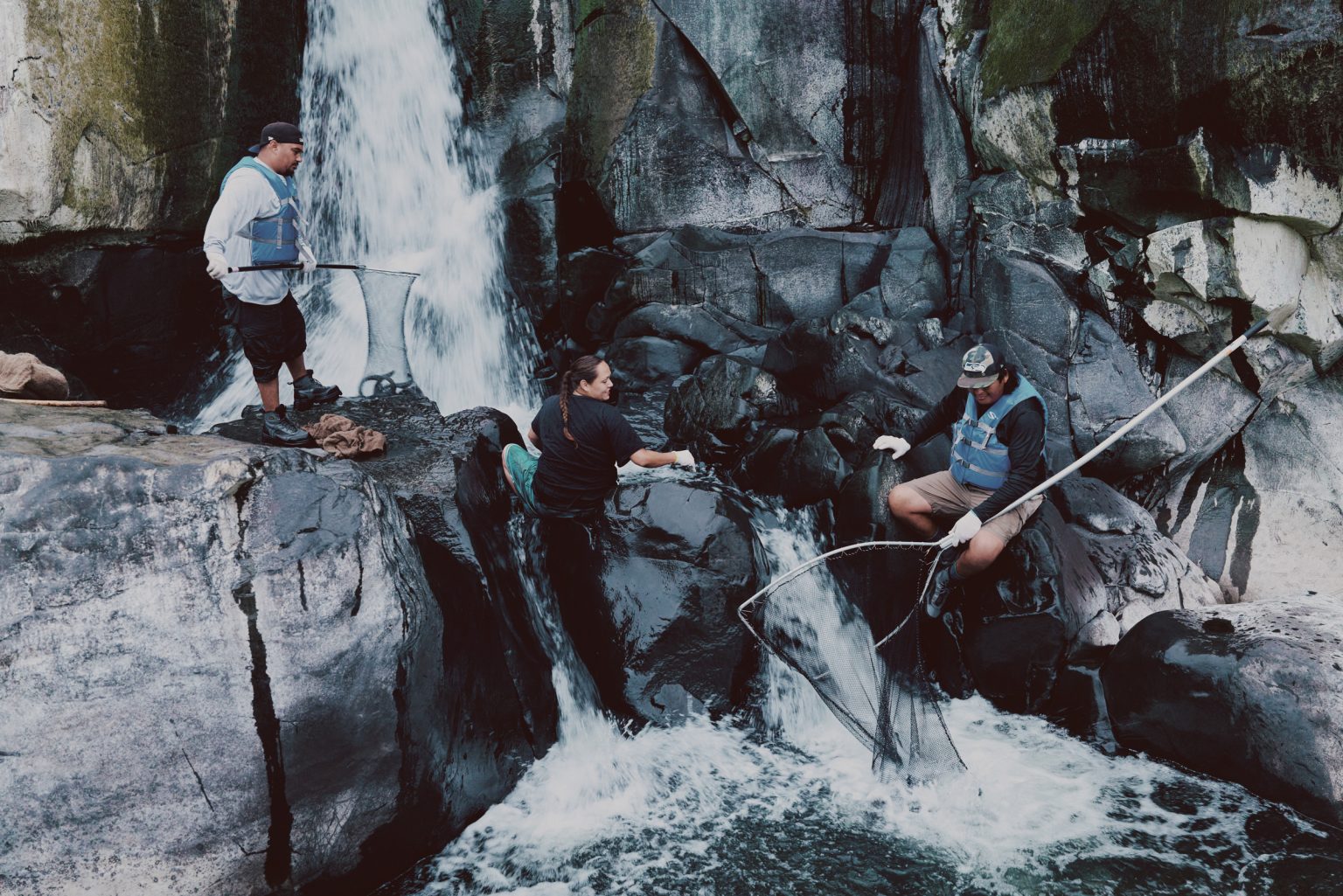 Storygram: B. "Toastie" Oaster's “Pacific Lamprey’s Ancient Agreement ...