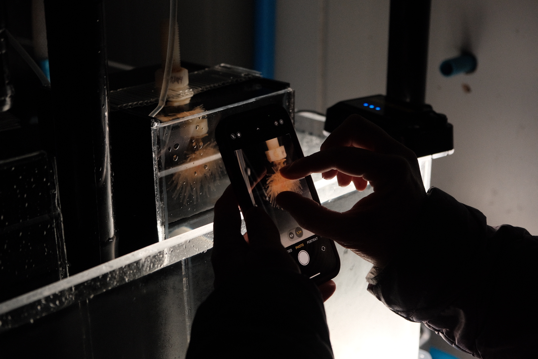 Christian Elliott and Muriel Alarcón Pivot While Covering a Patagonian ...